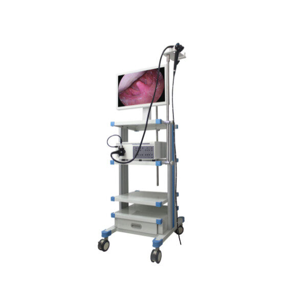 Flexible Endoscopy – ConvaMedical